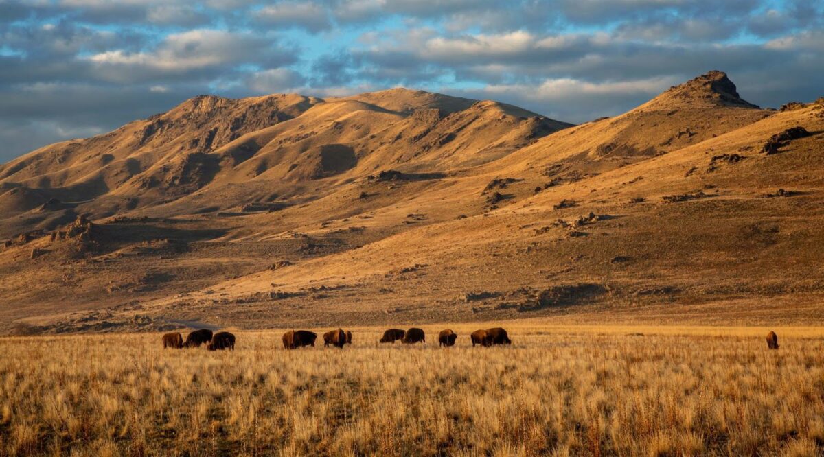 Davis ranks as most ‘beautiful’ county in Utah | News, Sports, Jobs ...